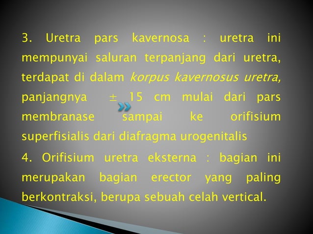 sistem perkemihan | PDF