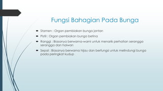 4.7 pembiakan tumbuhan a (gamma) | PPT