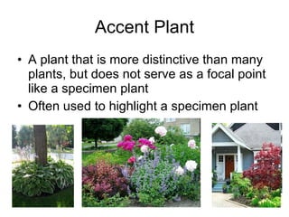 landscape plan | PPT