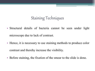 Staining techniques | PPTX