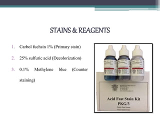 Staining techniques | PPTX