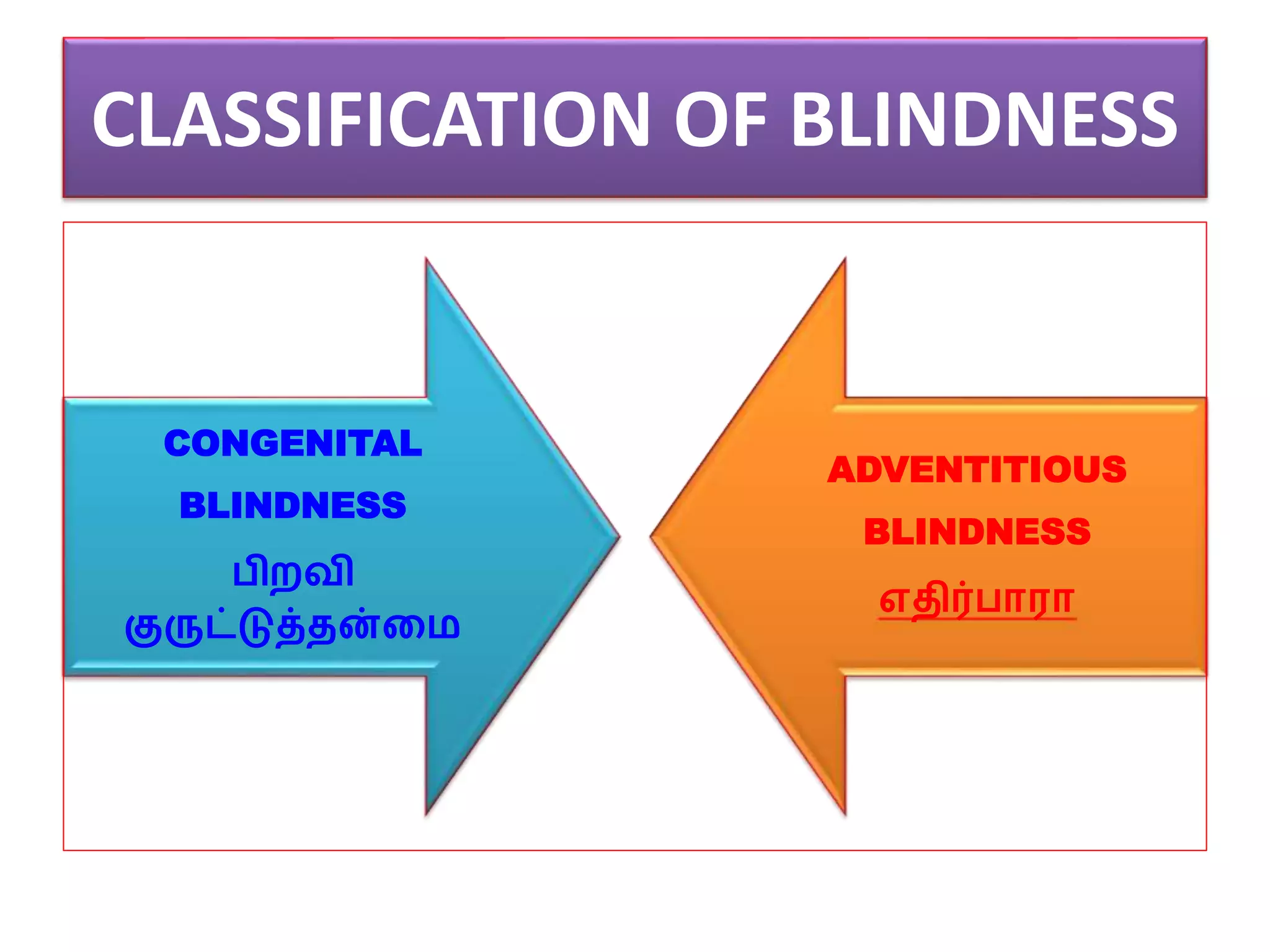 4. unit ii tm visual impairment | PPT