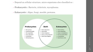 Introduction to Microbiology And Common Micro-Organisms, Epidemiology | PDF