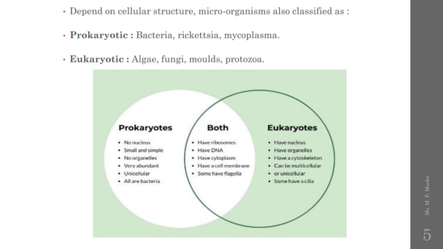 Introduction to Microbiology And Common Micro-Organisms, Epidemiology | PDF