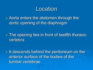 4.abdominal aorta and ivc | PPT