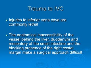 4.abdominal aorta and ivc | PPT