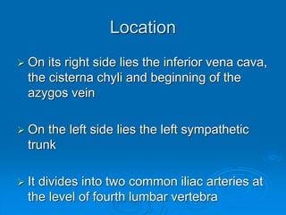 4.abdominal aorta and ivc | PPT