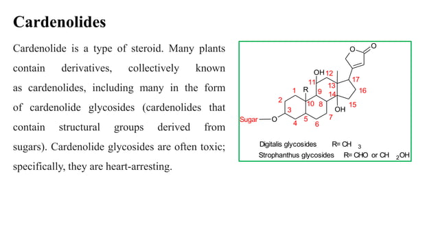 Diuretics and CVS.pptx