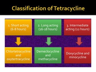 4. macrolide antibiotics.pptx
