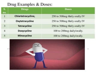 4. macrolide antibiotics.pptx