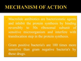 4. macrolide antibiotics.pptx