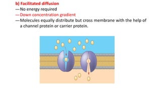 Membrane Transport System | PPT