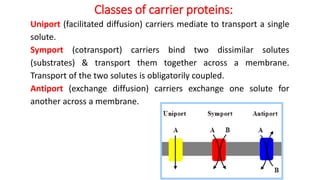 Membrane Transport System | PPT | Chemistry | Science