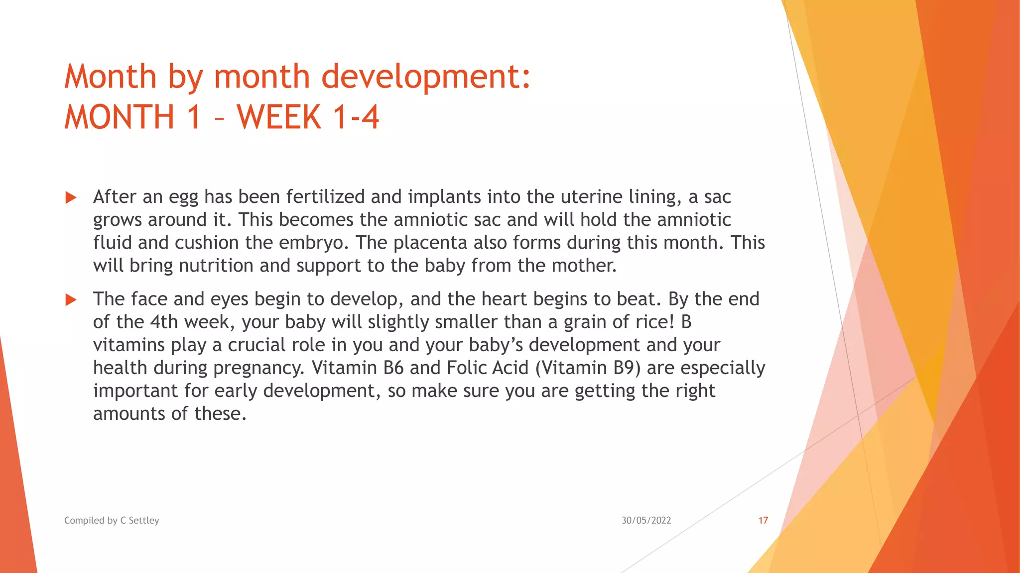 4. Fetal development.pdf
