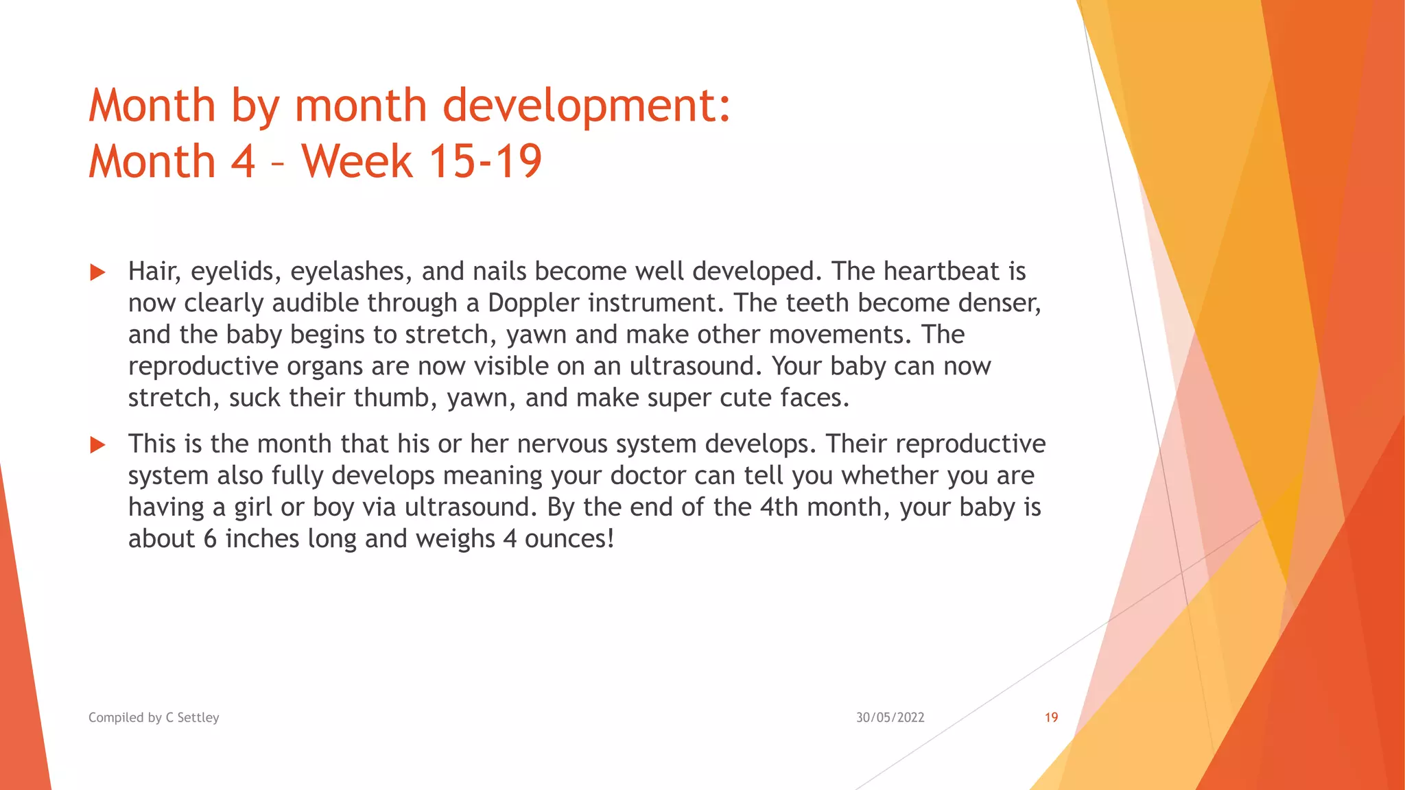 4. Fetal development.pdf