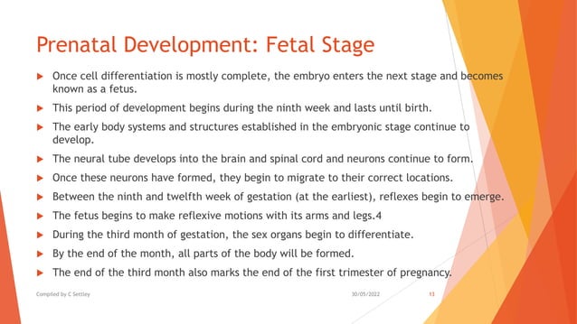 4. Fetal development.pdf