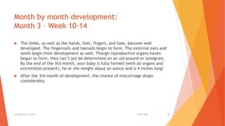 4. Fetal development.pdf