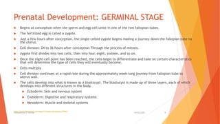 4. Fetal development.pdf | Infertility | Reproductive Health