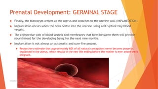 4. Fetal development.pdf | Infertility | Reproductive Health