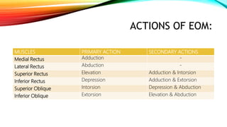 4. Extra ocular movements and strabismus.pptx