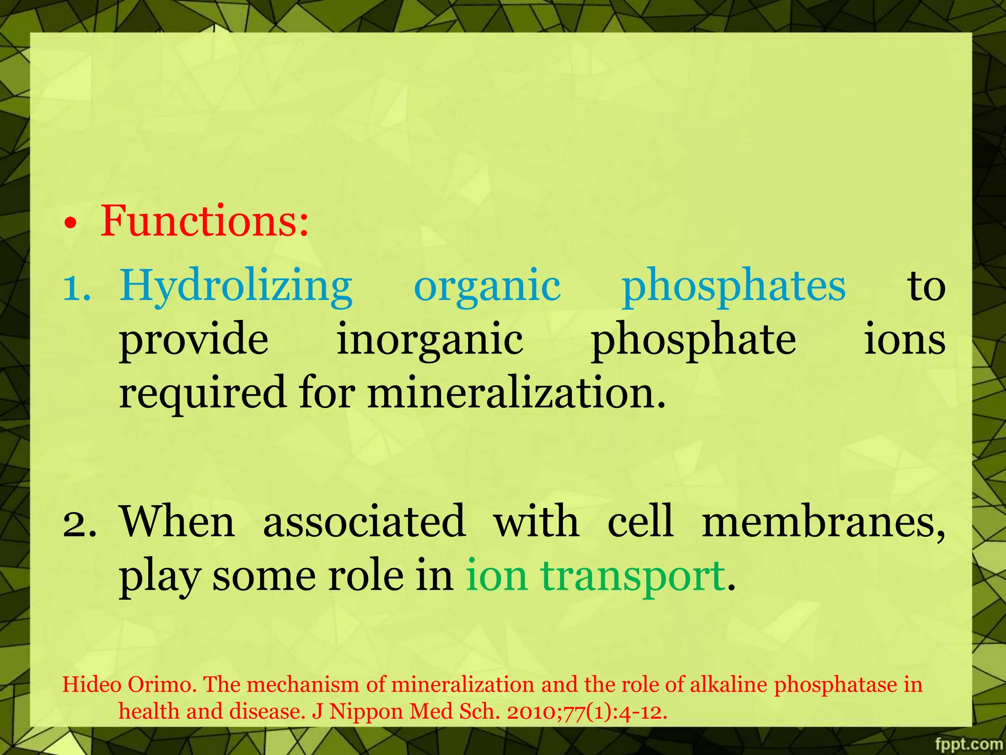 4. mineralization.ppt