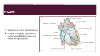 WAVES OF ECG.pptx