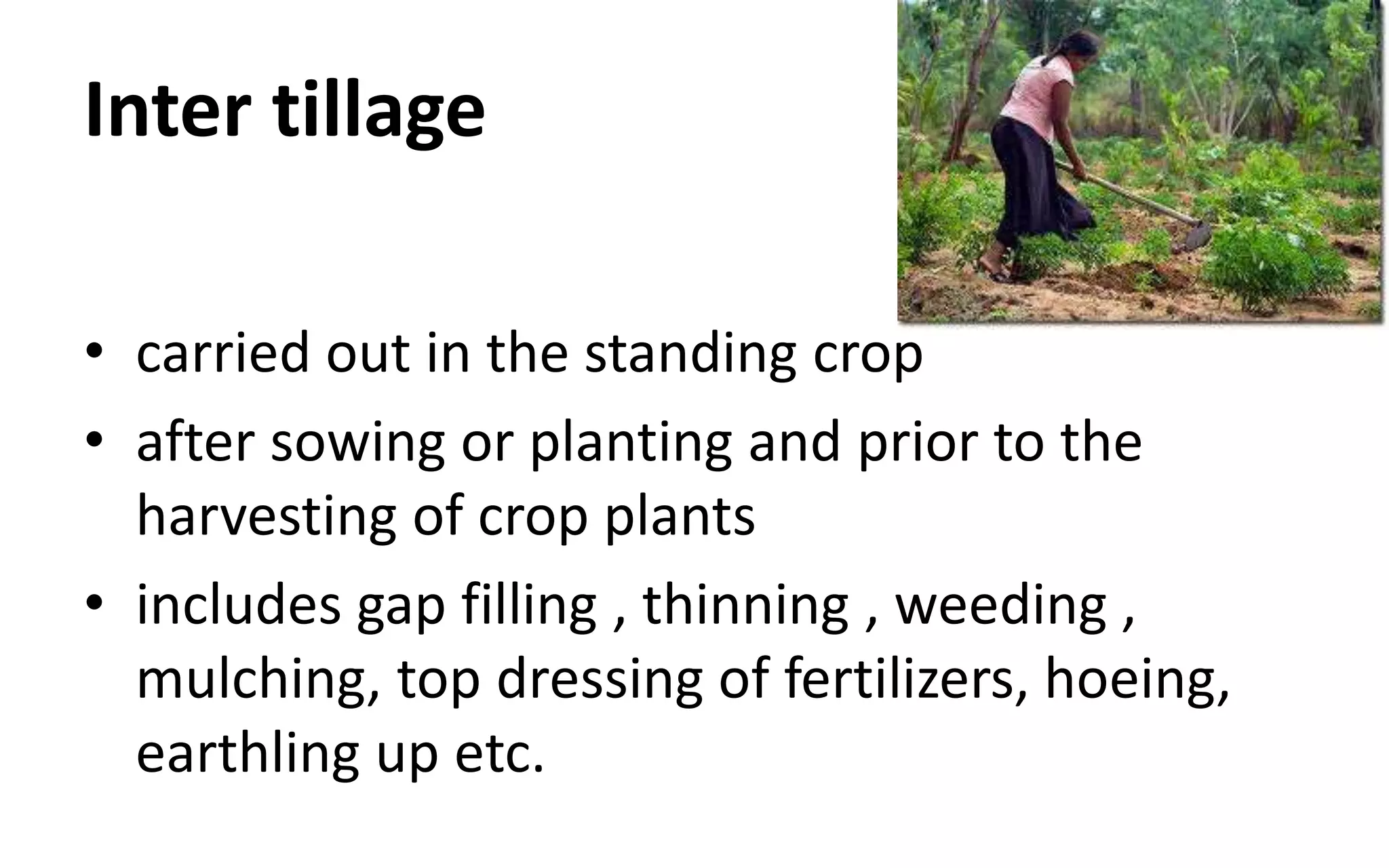 4.Land Preparation.pptx