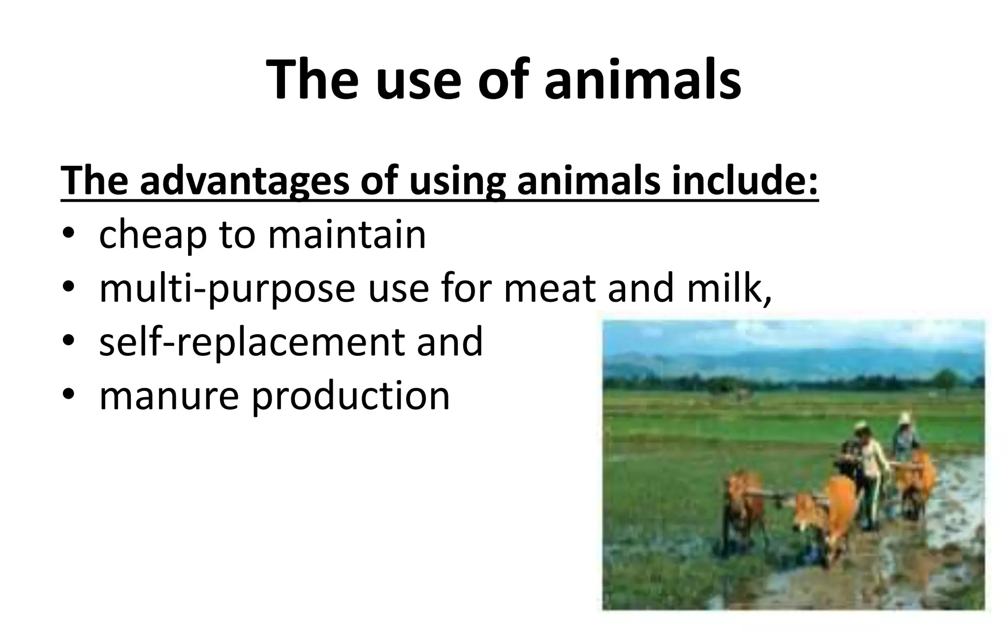 4.Land Preparation.pptx