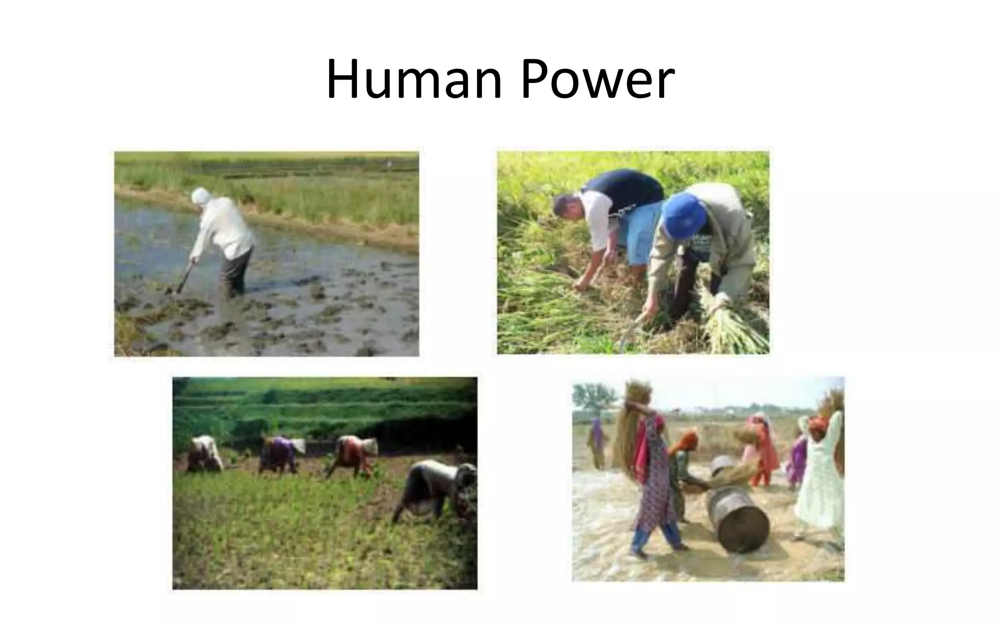 4.Land Preparation.pptx