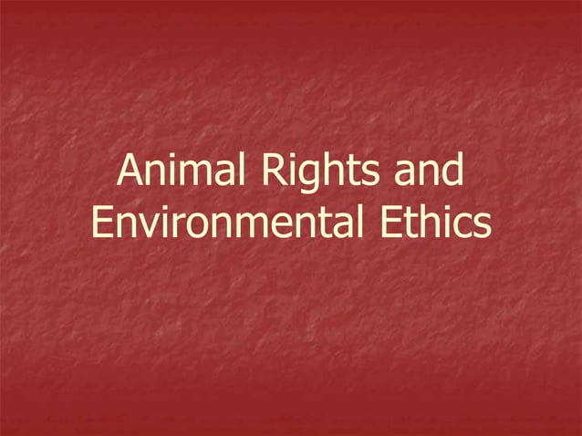 4. animal rights.ppt