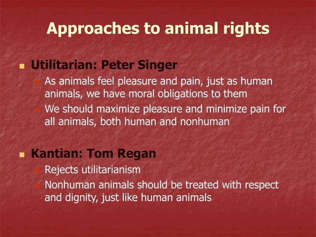 4. animal rights.ppt