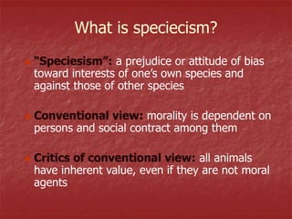 4. animal rights.ppt