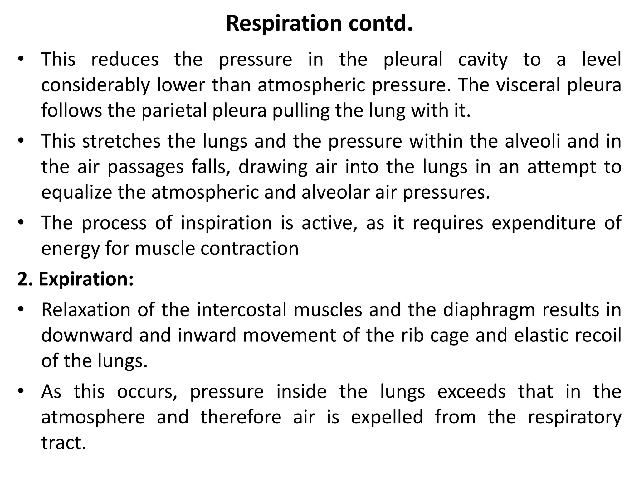 5. Respiratory system.pptx