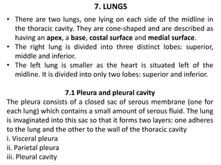5. Respiratory system.pptx