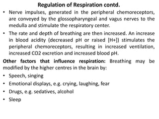 5. Respiratory system.pptx