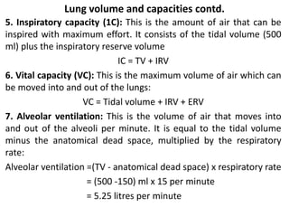 5. Respiratory system.pptx