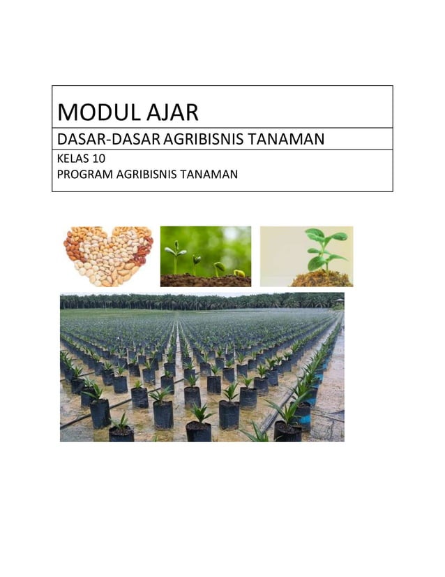 Modul Ajar Dasar Dasar Agribisnis Tanaman Kurikulum Merdeka Revisi Porn Sex Picture