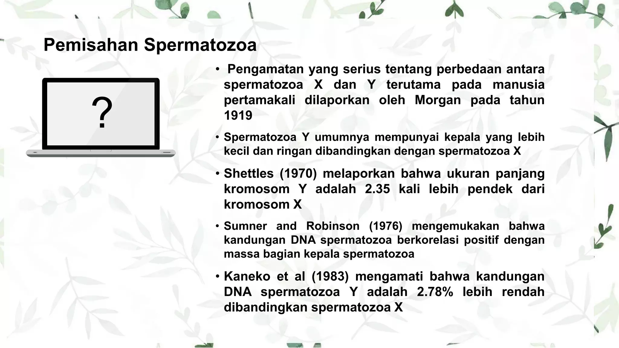 4. SEXING SPERMA.pptx