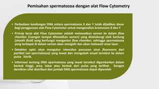 4. SEXING SPERMA.pptx