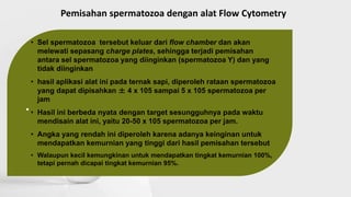 4. SEXING SPERMA.pptx