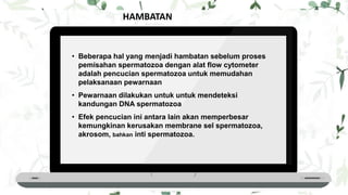 4. SEXING SPERMA.pptx