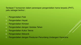 4.pptx