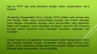 4.pptx