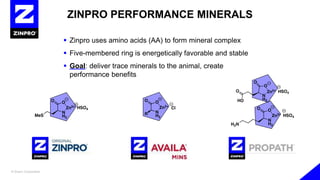 4. 220915 HA Category of one.pptx | Chemistry | Science
