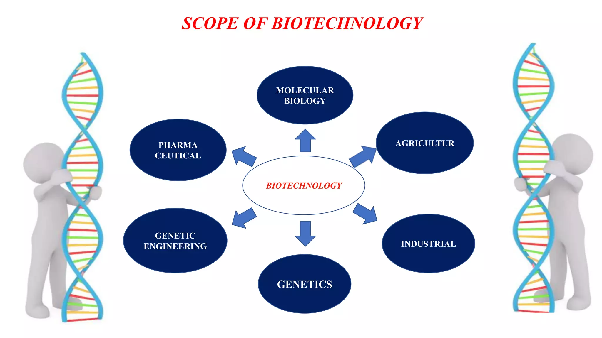 4.career in biotechnology.pptx