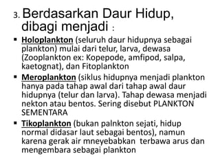 4. Plankton Laut.pptx