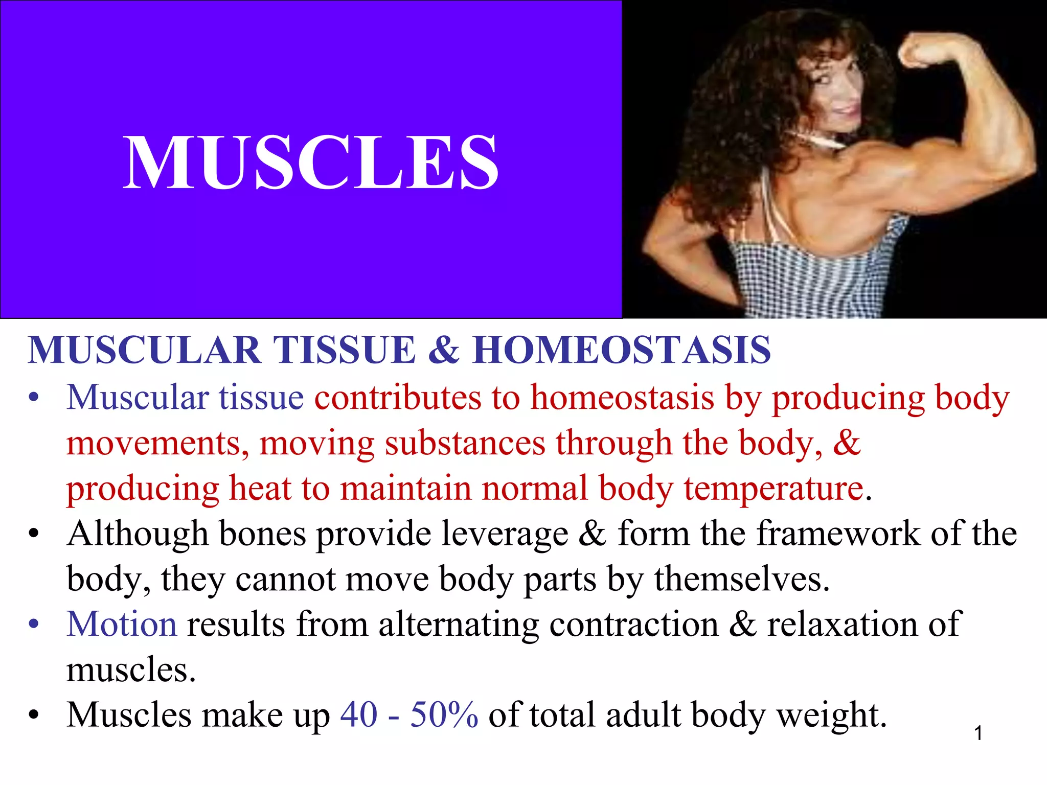 Unit Three - Excitable Tissues (Muscle).ppt
