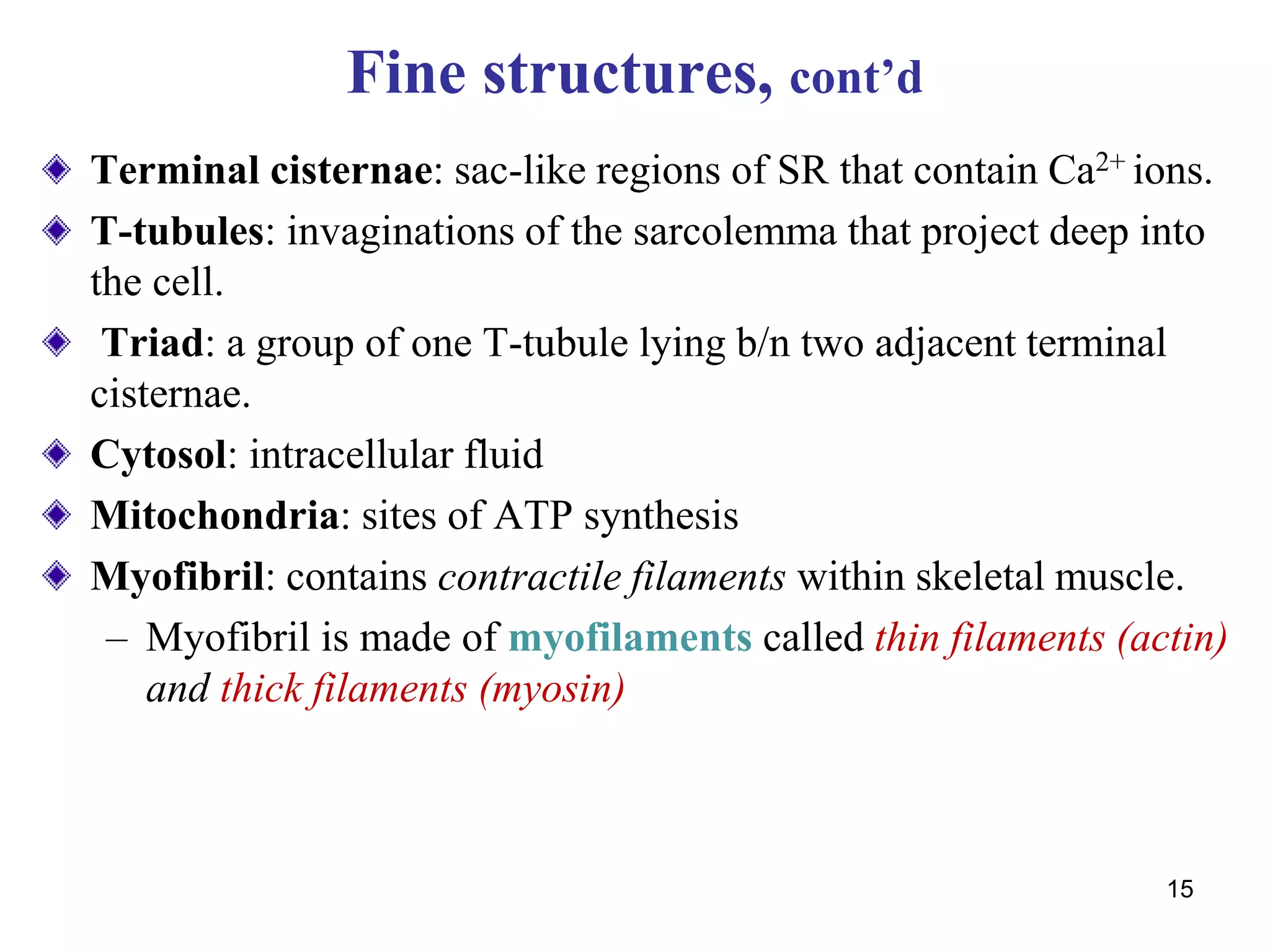 Unit Three - Excitable Tissues (Muscle).ppt