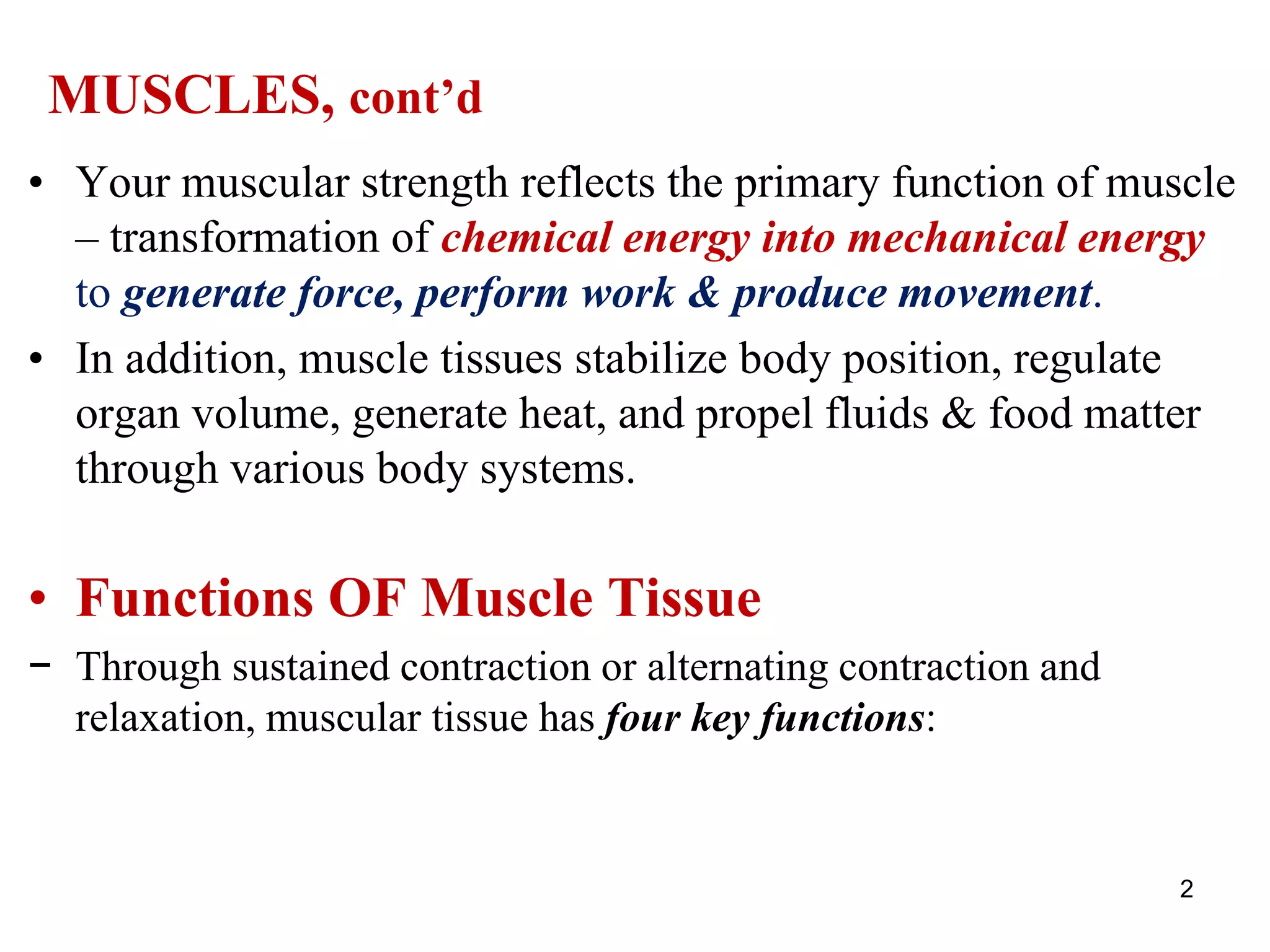 Unit Three - Excitable Tissues (Muscle).ppt