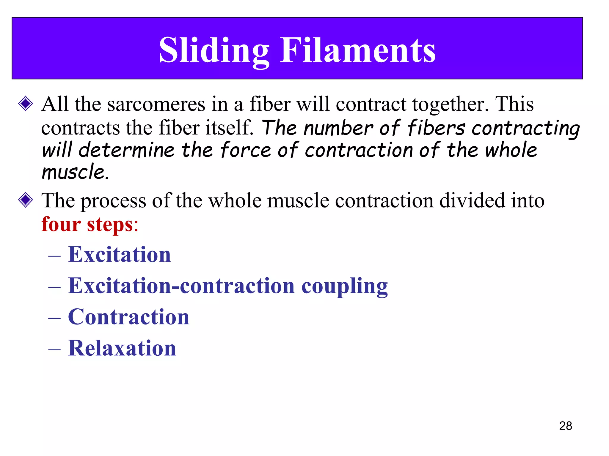 Unit Three - Excitable Tissues (Muscle).ppt